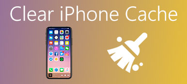 6 Best Ways to Clear Cache on iPhone and iPad [Updated]