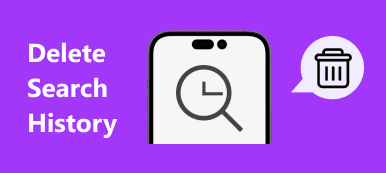 Delete Search History on iPhone, Android, Windows, and Mac