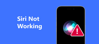 Hey Siri Not Working on iPhone – 7 Simple Ways to Fix It