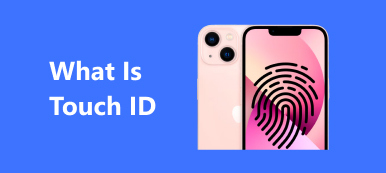 Alles, was Sie über Touch ID auf iOS und Mac wissen sollten