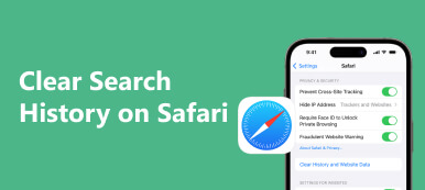 Effectively Clear Search History on Safari for iOS and Mac