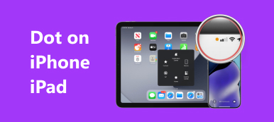 What Is Green/Orange/Blue/Black/White Dot on iPhone/iPad