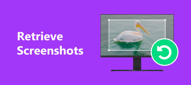 [2025 Guide] How to Retrieve a Screenshot on a Mac/Windows