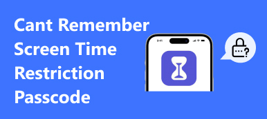 How to Reset Forgotten Screen Time Restriction Passcode