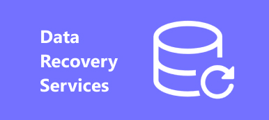Top 10 Professional Data Recovery Services Online/Offline