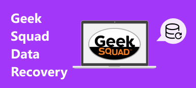 Unbiased Review of Geek Squad Data Recovery Service