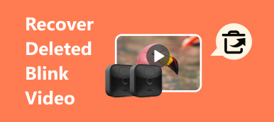 Recover Deleted Blink Videos from Cloud or Local Storage