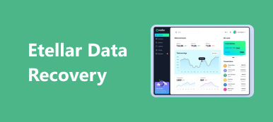 In-depth Review of Stellar Data Recovery for Windows and Mac