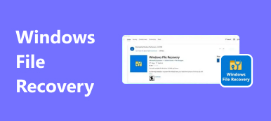 Everything You Need to Know about Windows File Recovery