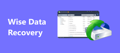 Recensione imparziale di Wise Data Recovery per principianti