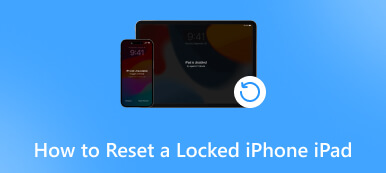 How to Factory Reset a Locked iPhone or iPad in 2025