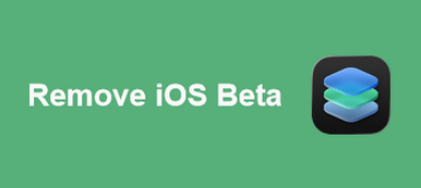 Remove iOS 26/18 Beta and Downgrade to a Stable Version