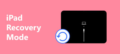 Everything You Need to Know about iPad Recovery Mode