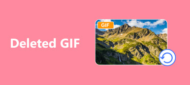 4 Top Ways to Recover Deleted GIF Images on Windows/Mac