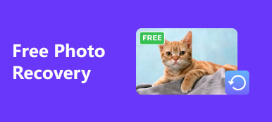 Top 5 Free Photo Recovery Software with Best Precision